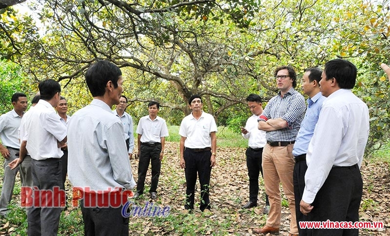 Bình Phước: Phát triển bền vững, HTX cần tiềm lực mạnh